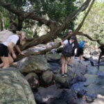 Trekking Knuckles Mountain Range Excursion (4 Days, 3 Nights) - Why This Tour Offers Good Value