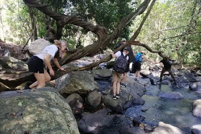 Trekking Knuckles Mountain Range Excursion (4 Days, 3 Nights) - Why This Tour Offers Good Value