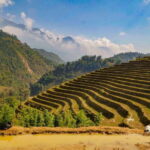 Trekking Sapa 1 Day With Local Guide, Terraced Rice Fields - Why This Tour Holds Its Value