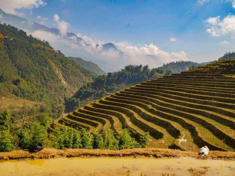 Trekking Sapa 1 Day With Local Guide, Terraced Rice Fields - Why This Tour Holds Its Value