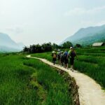 Trekking Through Rice Terraced Fields - 1Day - Practical Details That Make a Difference