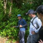 Trekking Tien Son Dinh Phu Quoc - The Experience in Detail: Why It’s Worth Considering