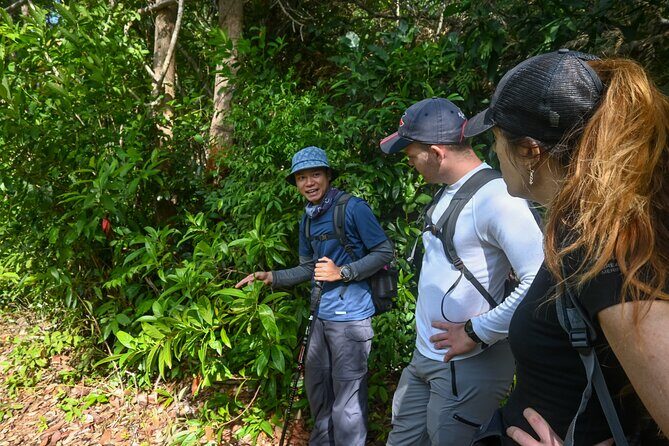 Trekking Tien Son Dinh Phu Quoc - The Experience in Detail: Why It’s Worth Considering