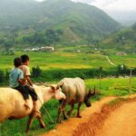 Trekking to Ta Phin, pick medicinal leaves and herbs. - What’s Included and What to Expect