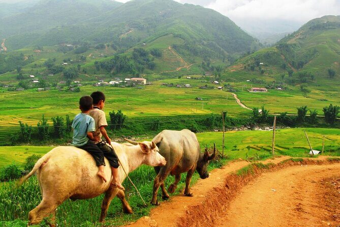 Trekking to Ta Phin, pick medicinal leaves and herbs. - What’s Included and What to Expect