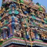 Trincomalee and Nilaveli beach Tour from Kandy - What Travelers Say & Why It Matters