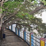 Trincomalee City Tour from Dambulla - The Value and Practical Aspects