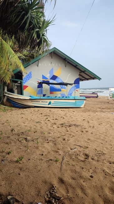 Trincomalee: Dolphin & Whale Watching Boat Tour - What to Expect on the Tour