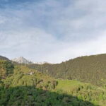 Triund Day hike | Alt 2870 Mtr - Authentic Experiences and Hidden Gems