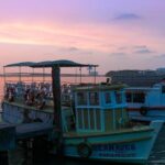 Trivandrum Night Walk (2 Hours Guided Walk) - Authentic Stories and Local Tips