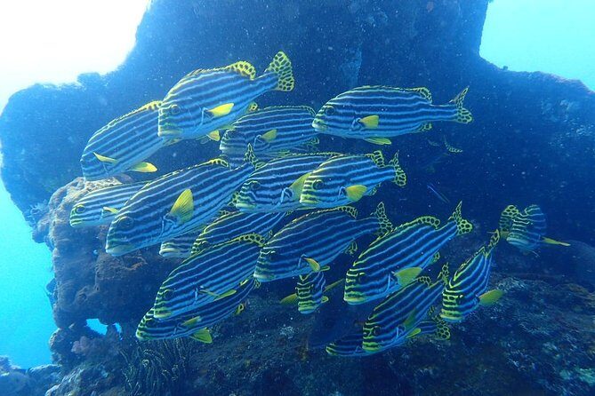 Try Diving at USAT Liberty Wreck Tulamben with 1 or 2 Dives (Stay In Tulamben) - Final Thoughts