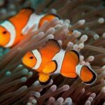 Try Scuba Diving - The Itinerary Breakdown