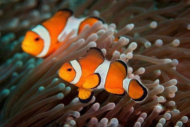 Try Scuba Diving - The Itinerary Breakdown