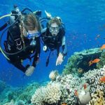 Try Scuba Diving In Havlock - Who Should Consider This Tour?