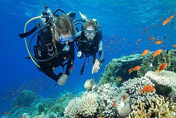 Try Scuba Diving In Havlock - Who Should Consider This Tour?