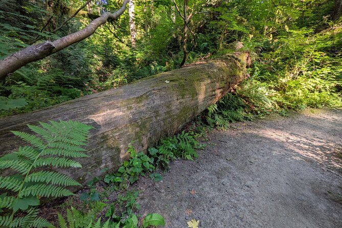 Tryon Creek Eco-tour With a Master Naturalist - Practicalities and Tips