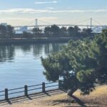 TSUKIJI Market Deep Dive & Lunch (optional GINZA tour & tea) - FAQs