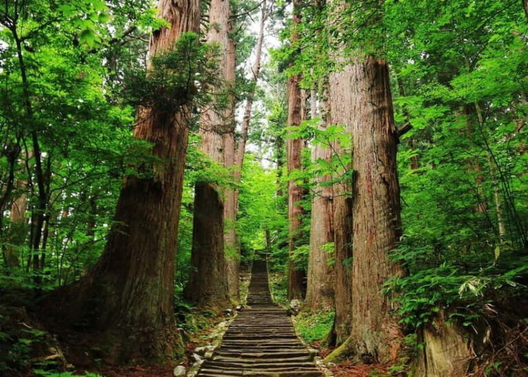 Tsuruoka & Dewa-Sanzan Private Tour with Licensed Guide - Who Is This Tour Best For?