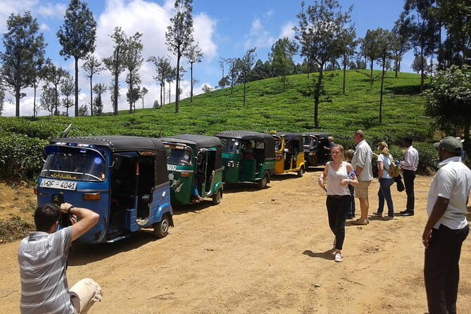Tuk Tuk safari and Picnic in The Tea Plantation from Ella,Haputale & Bandarawela - Transportation and Comfort