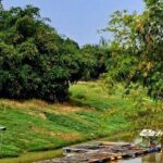 Tuk Tuk Tour (Full-Day) - The Itinerary in Detail: What You’ll Experience