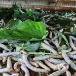 Tuk-Tuk Tour to Silk Island & Udong Mountain - How the Itinerary Comes Together