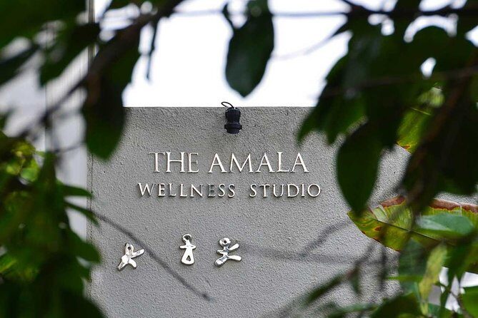 TULA Wellness Half Day Experience with Nadis Flow - Nourishing Vegetarian Meal and Pool Time