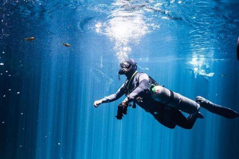 Tulum: 2 Dives in Chac Mool Cenote - What’s Included & What to Expect