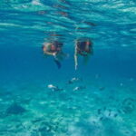 Tulum: 2-Hour Snorkeling in Two Spots of Tulum's Reef - What to Expect on the Tour