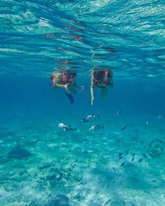 Tulum: 2-Hour Snorkeling in Two Spots of Tulum's Reef - What to Expect on the Tour