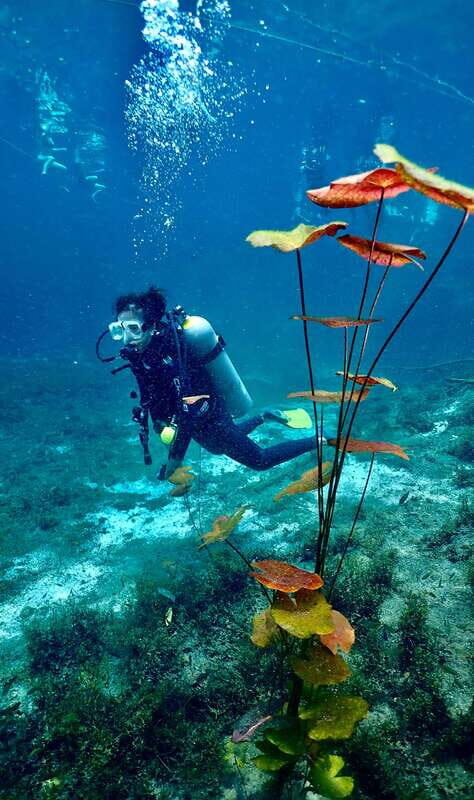 Tulum: 2 Tank Cenote Dive - The Practical Details