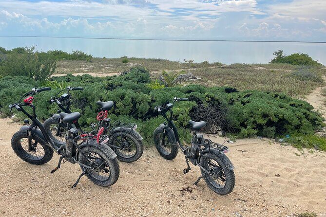 Tulum Area Experiences E-Bike Daily Rental - The Practicalities: Costs, Equipment, and Additional Fees