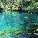 Tulum & Coba Private Tour - Stop 2: Coba Archaeological Site and Pyramid Climb