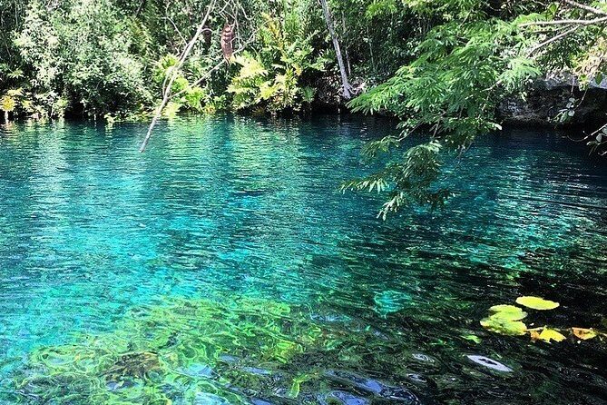 Tulum & Coba Private Tour - Stop 2: Coba Archaeological Site and Pyramid Climb