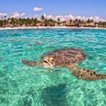 TULUM Jaguar Park Day Pass - Additional Information: Practical Tips