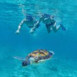 Tulum, Snorkeling with Sea Turtles, Cenote and Beachside Lunch - What Could Be Better