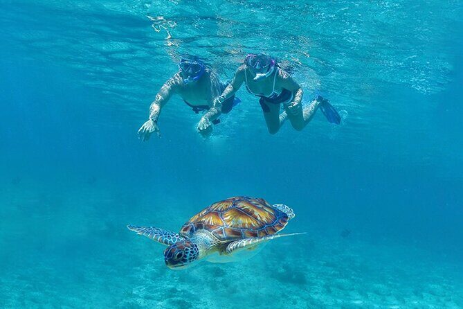 Tulum, Snorkeling with Sea Turtles, Cenote and Beachside Lunch - What Could Be Better