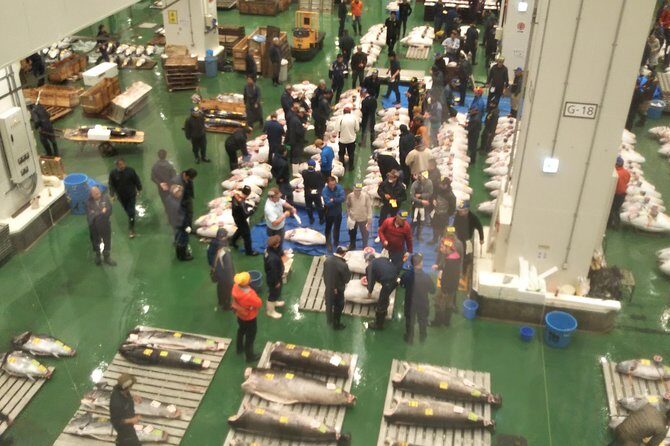 Tuna auction at Toyosu Market with qualified guide and early morning tour of Tsukiji Outer Market - Who Should Consider This Tour?