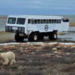 Tundra Buggy Autumn Day Tours - Itinerary Breakdown