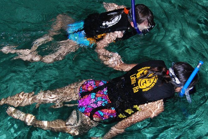 Turtle Snorkeling Adventure from Cancun - Who Should Consider This Tour?