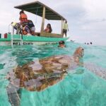 Turtle Swim, Lunch and Underground Cenote Private Tour - Who Will Love This Tour?