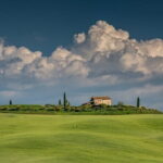 Tuscany Tour Siena - San Gimignano - Winery - The Chianti Hills: Wineries and Lunch