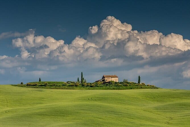 Tuscany Tour Siena - San Gimignano - Winery - The Chianti Hills: Wineries and Lunch