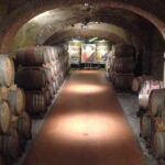 Tuscany Wine Tour from Livorno - Practical Details & Tips