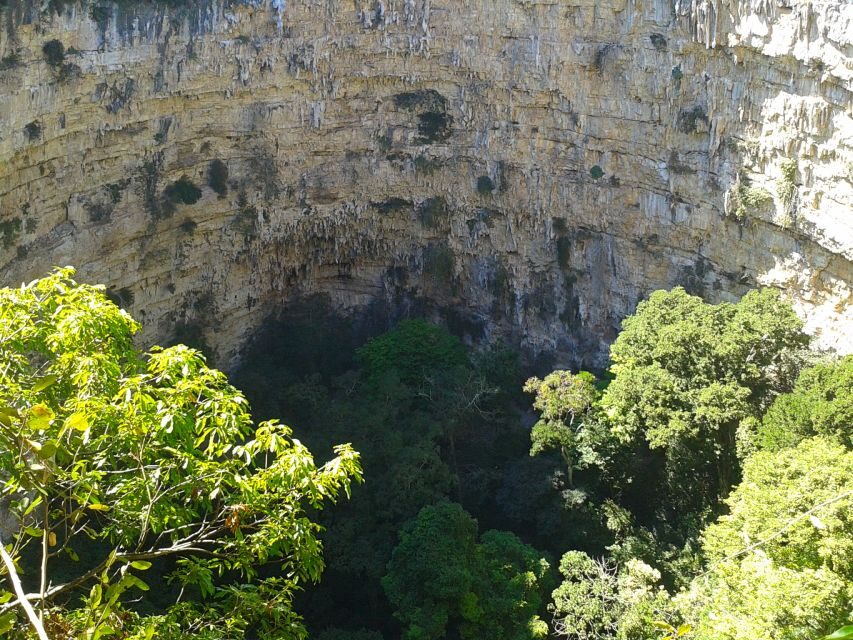 Tuxtla Gutiérrez: Sinkhole of Parrots Full-Day Rappel - Practical Details: What to Know Before You Go