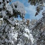 Two day guided trekking of Budher Caves, Deoban and Tigerfall Falls, Chakrata - Whats Included and Whats Not