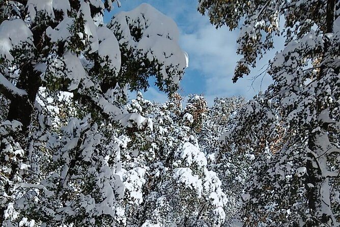 Two day guided trekking of Budher Caves, Deoban and Tigerfall Falls, Chakrata - Whats Included and Whats Not
