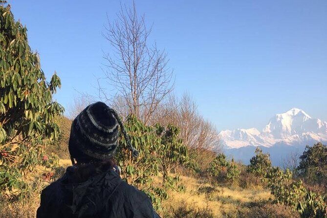 Two days one night Ghandruk gurung culture trek - An In-Depth Look at the Ghandruk Gurung Culture Trek
