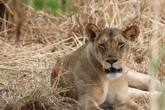 Two Days Safari by Train - Valuing the Experience