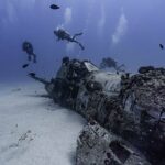 Two Tank Wreck and Drift Dive in Oahu - What to Keep in Mind
