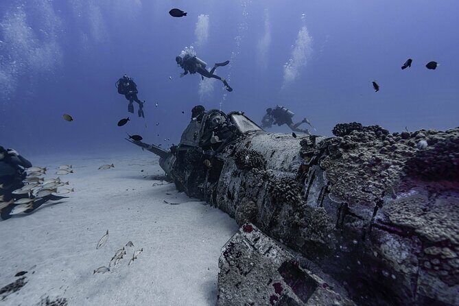 Two Tank Wreck and Drift Dive in Oahu - What to Keep in Mind